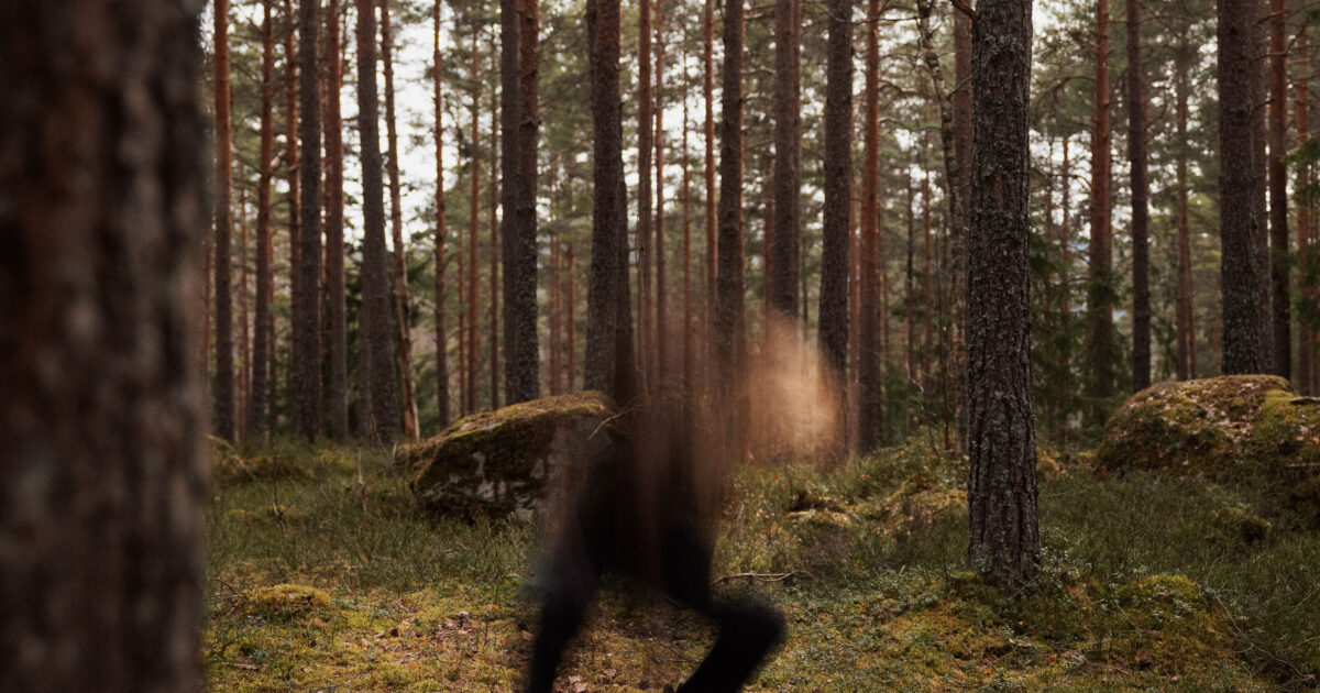 Collaborating with Trees: In Conversation with Espen Hjort and Evgenia ...