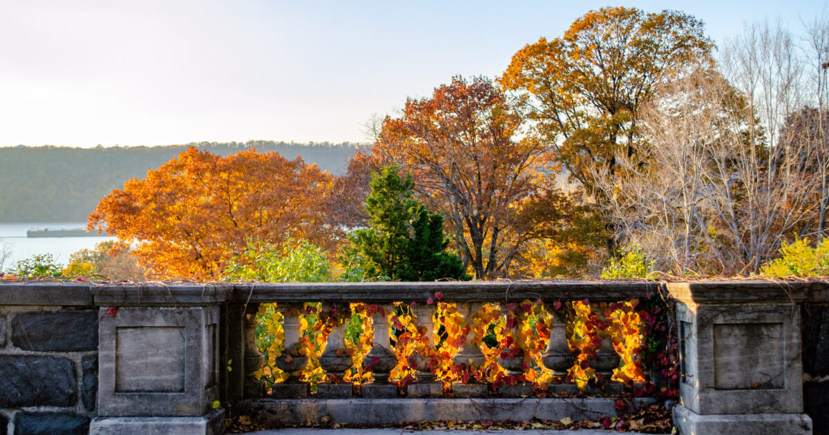 Fall Terrace Party - Wave Hill