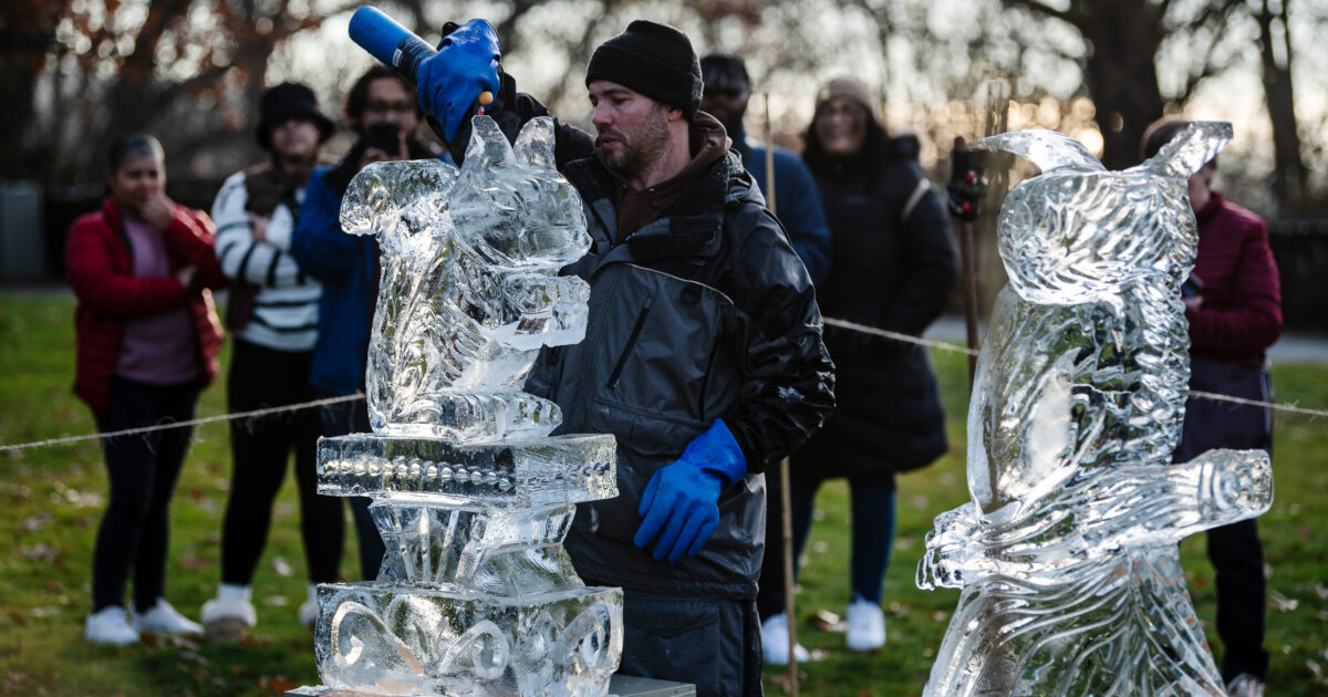 Ice Carving Demonstration - Wave Hill