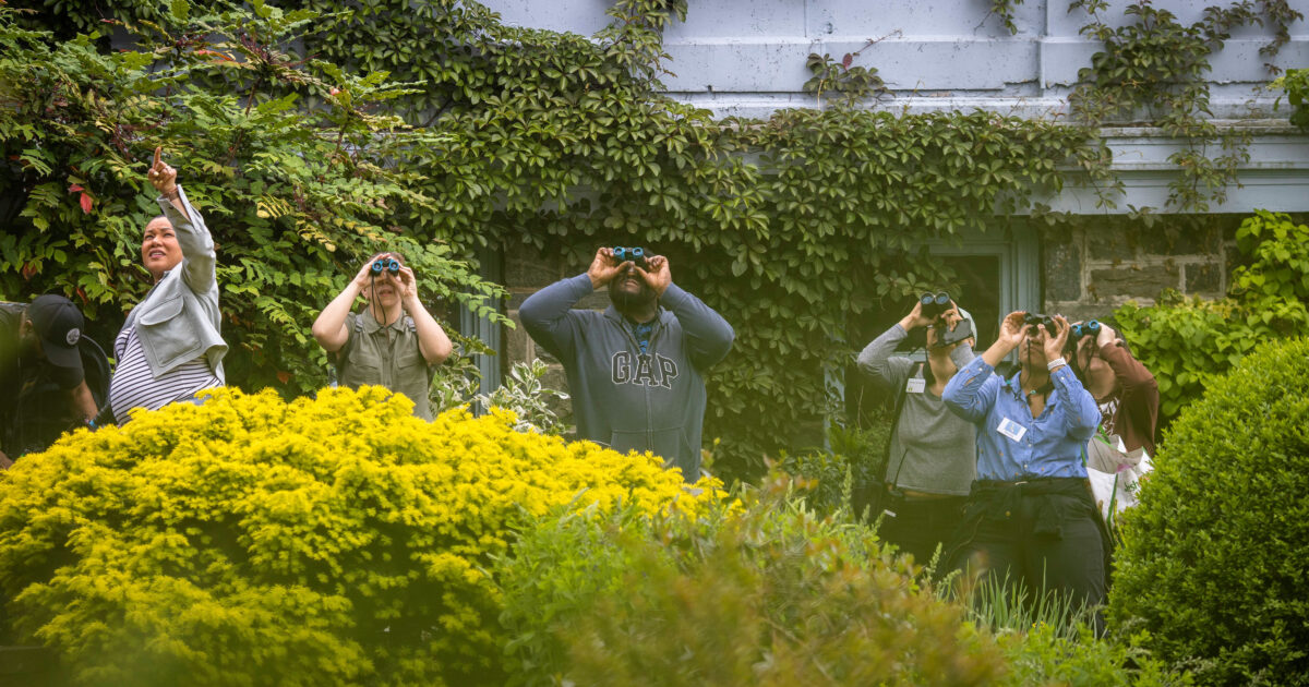 Birding: Wings Over Wave Hill - Wave Hill