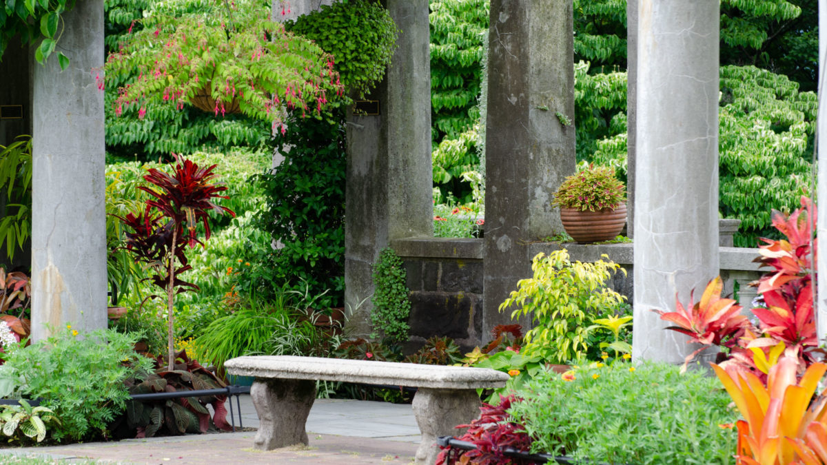 Know Before You Go - Wave Hill