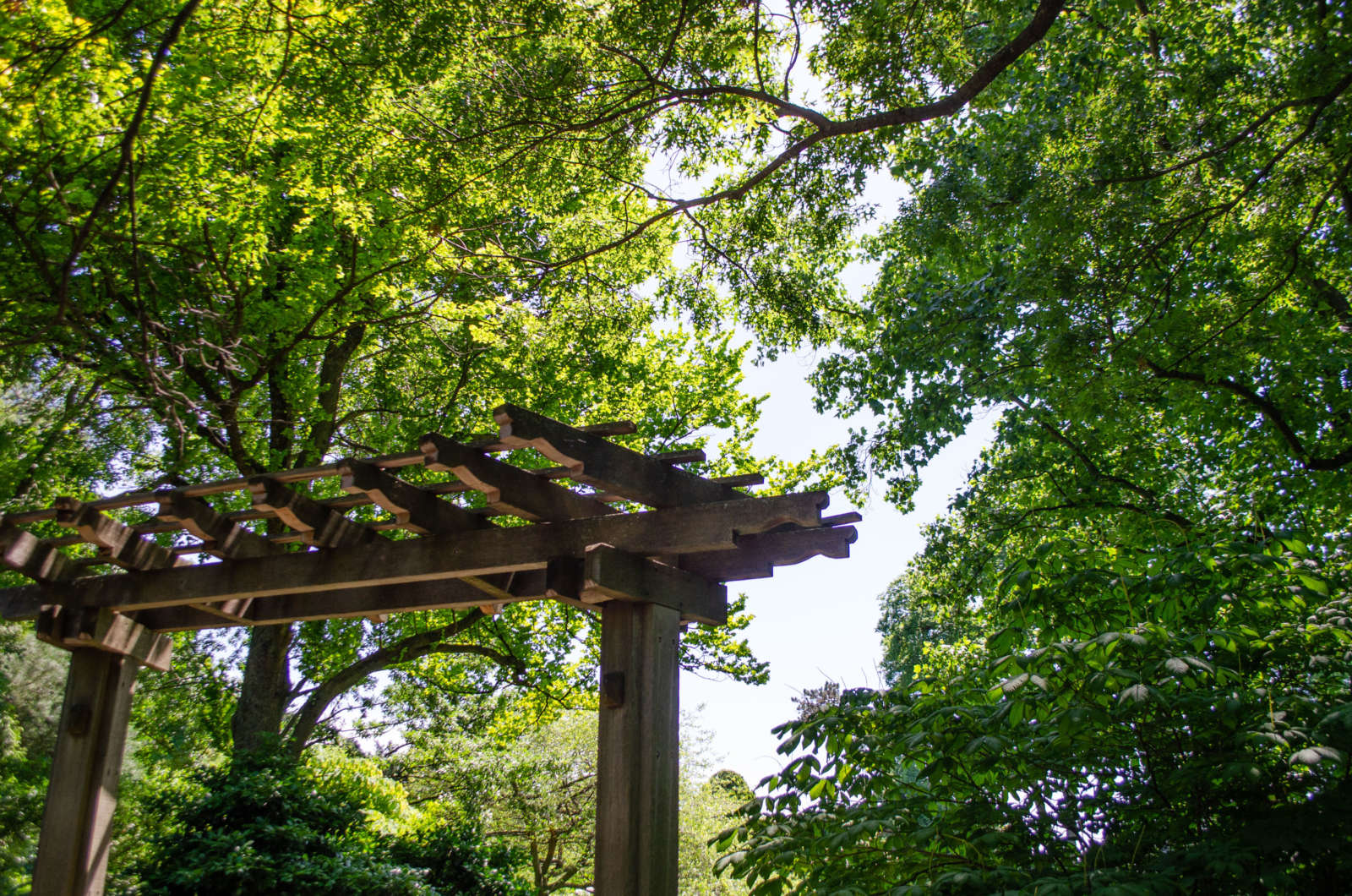 Admission Tickets - Wave Hill