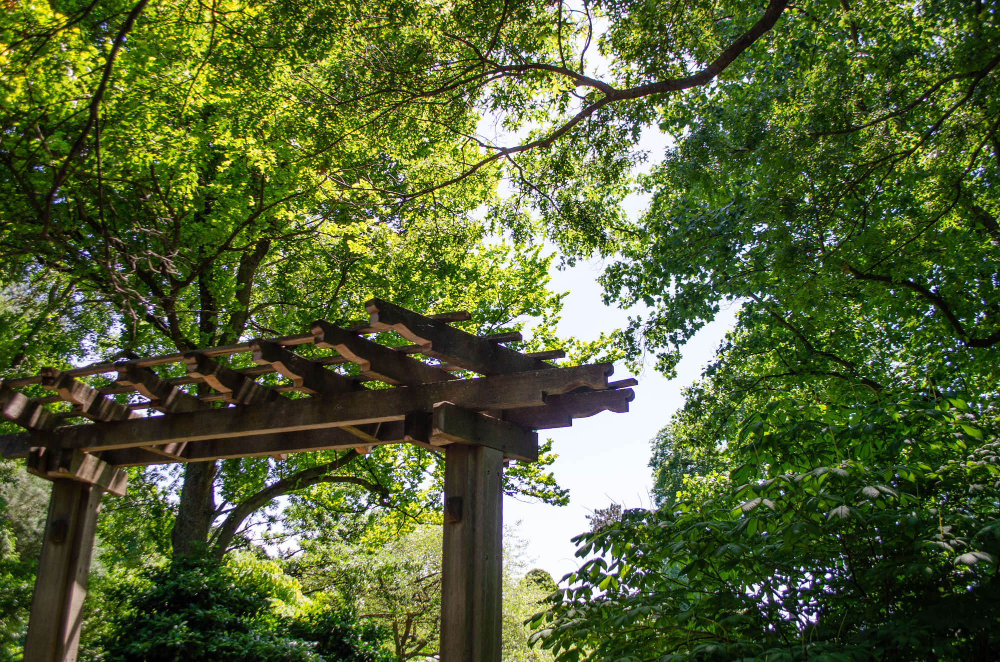 Admission Tickets - Wave Hill