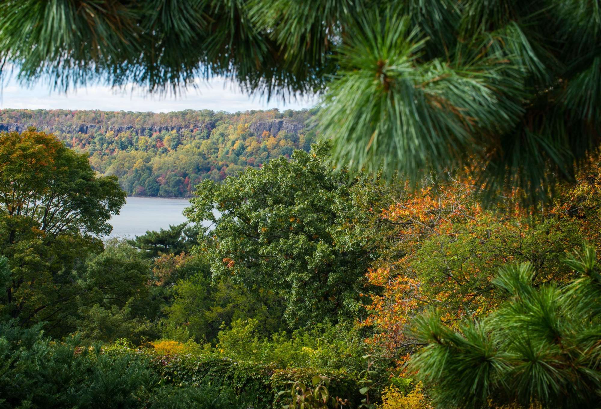 Indigenous Peoples' Weekend - Wave Hill