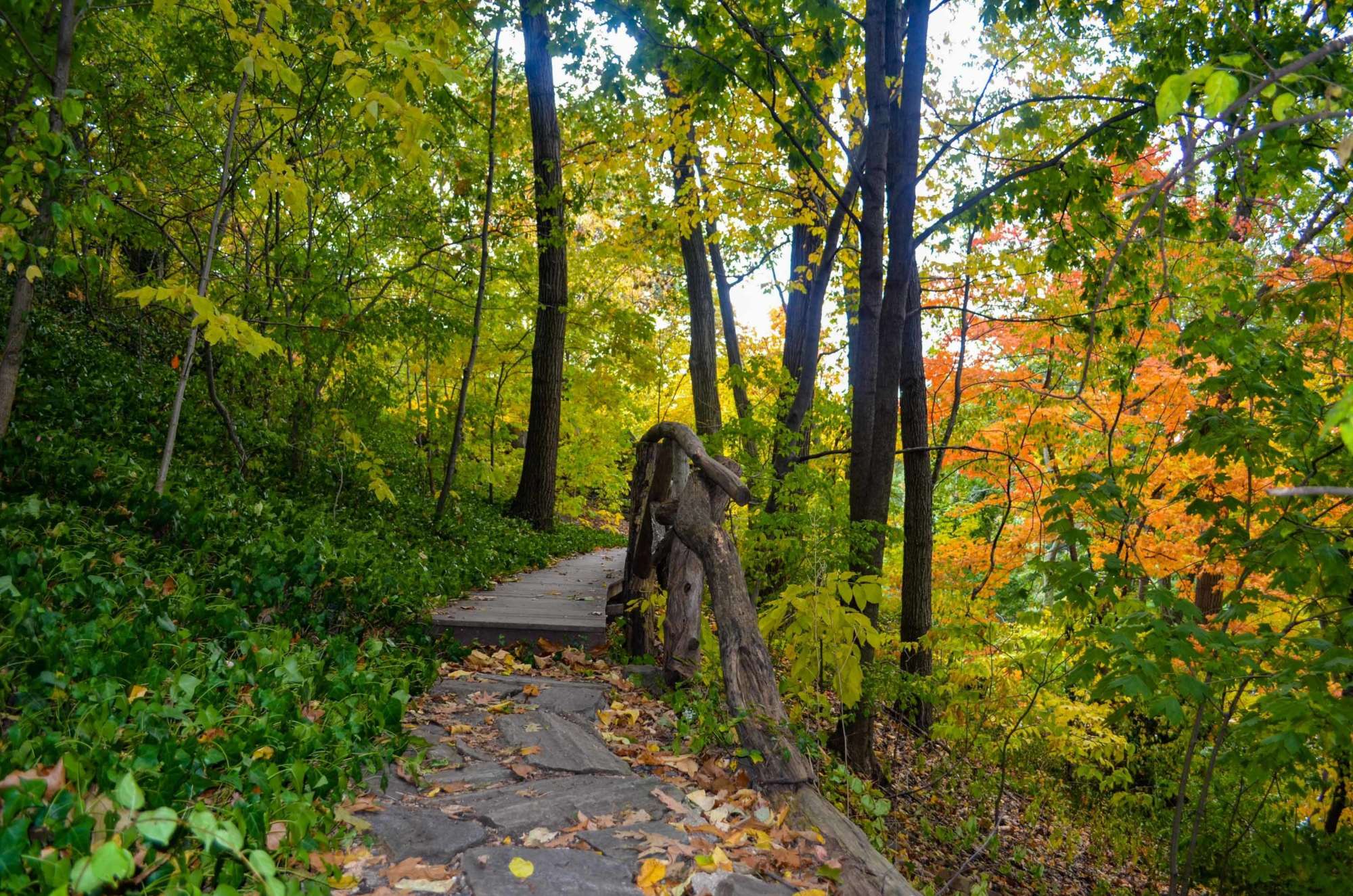 Zoom Backgrounds - Wave Hill