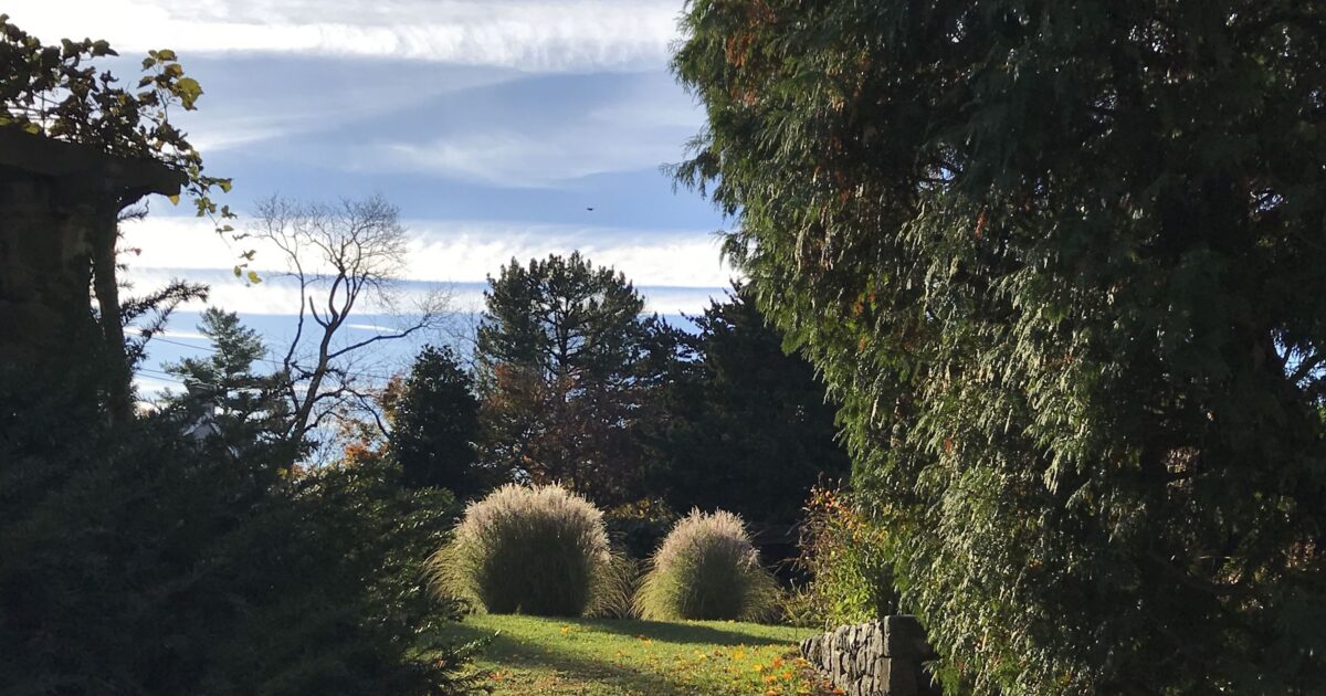 Plant Legends Walk - Wave Hill