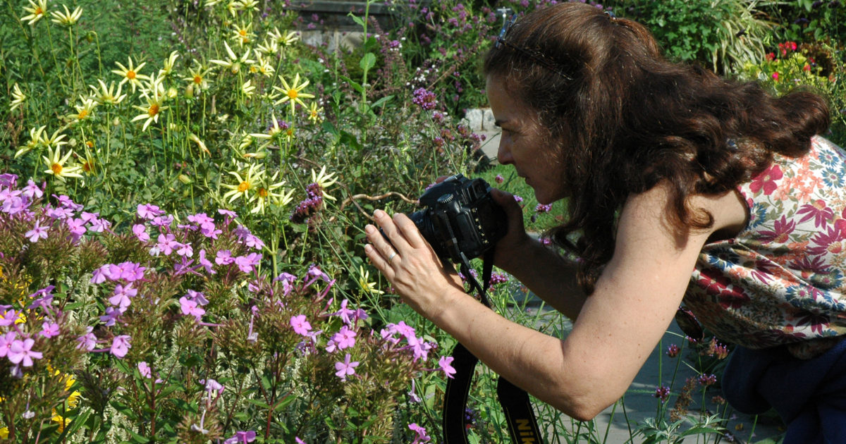 Adult Learning - Wave Hill