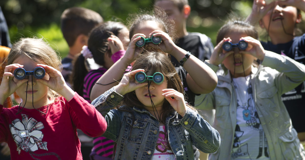 Early Elementary - Wave Hill