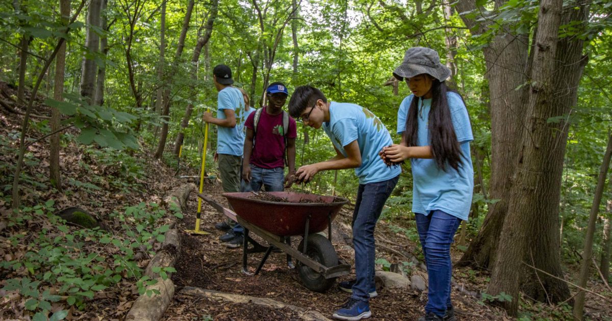 Forest Project - Wave Hill