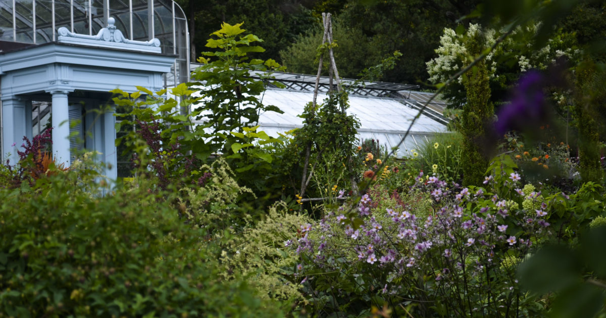 The Gardens - Wave Hill