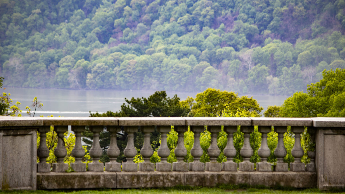 Board & Friends - Wave Hill