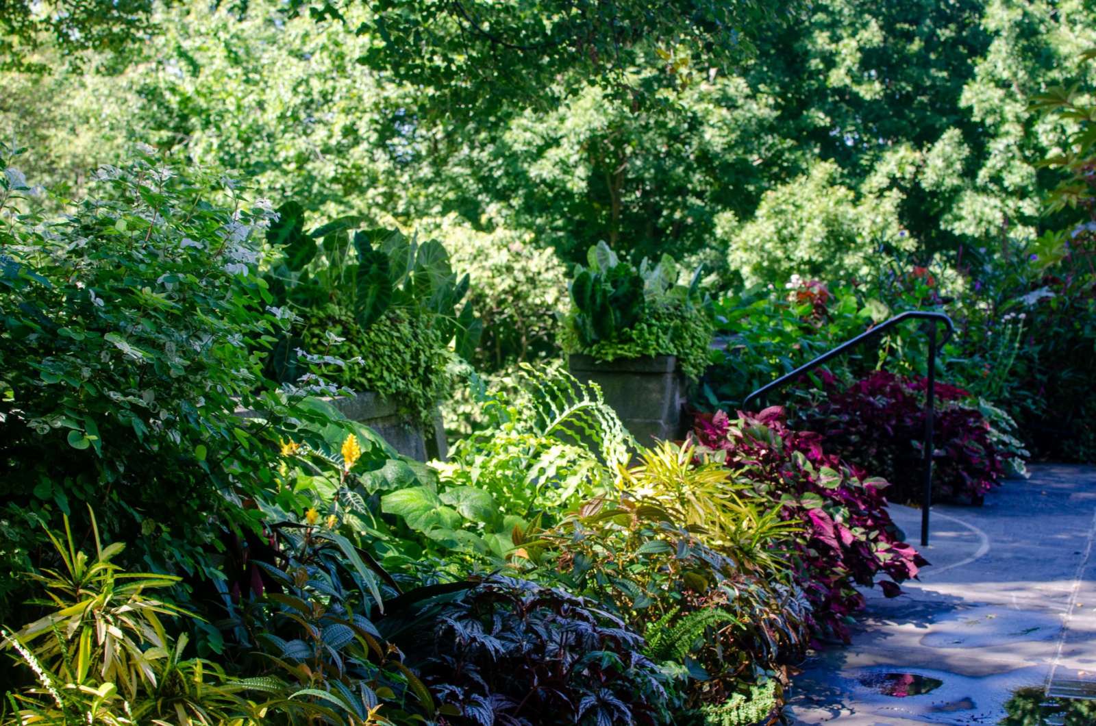 Kate French Terrace - Wave Hill