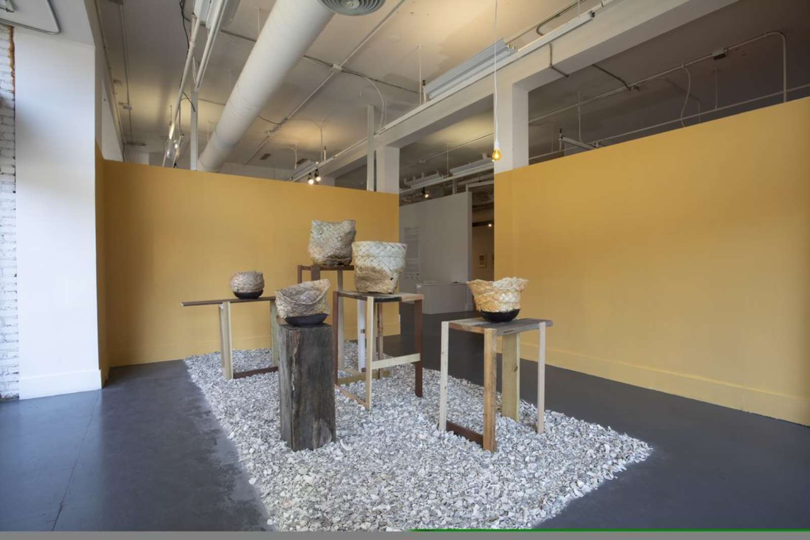 Anina Major—Sunroom Project Space 2022 - Wave Hill