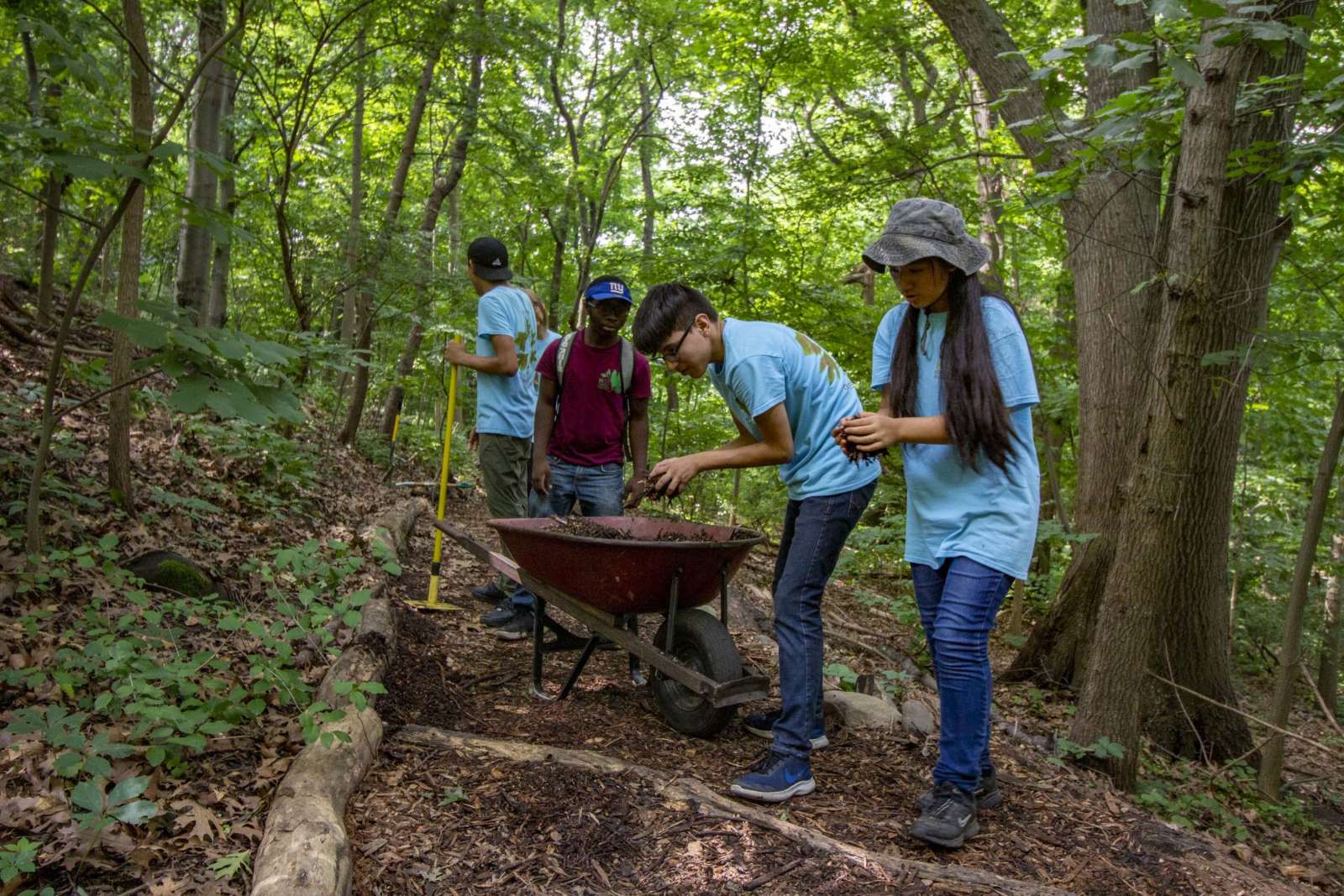 Forest Project - Wave Hill