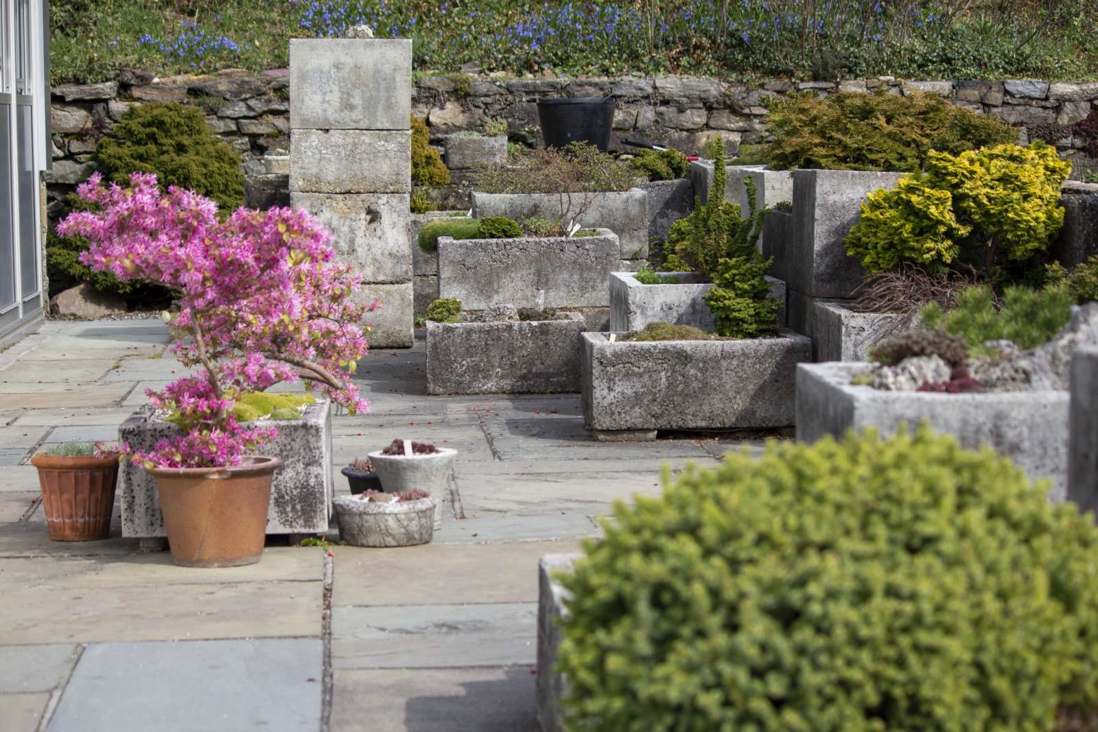 T.H. Everett Alpine House & Troughs - Wave Hill