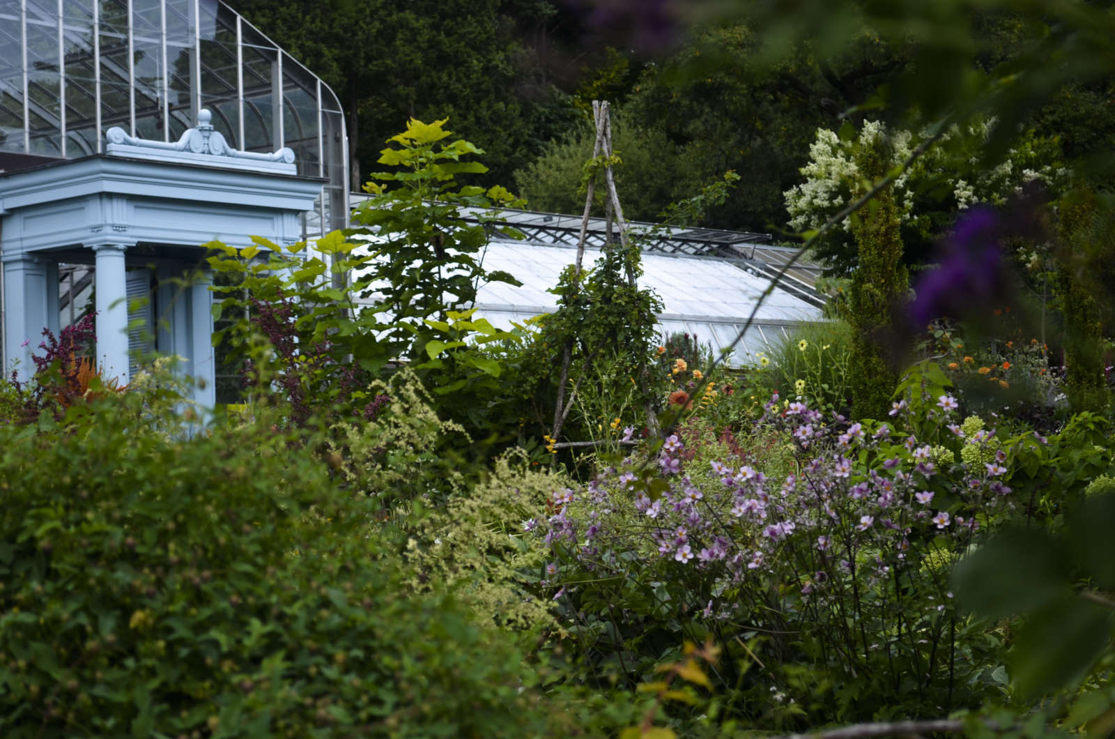 The Gardens - Wave Hill