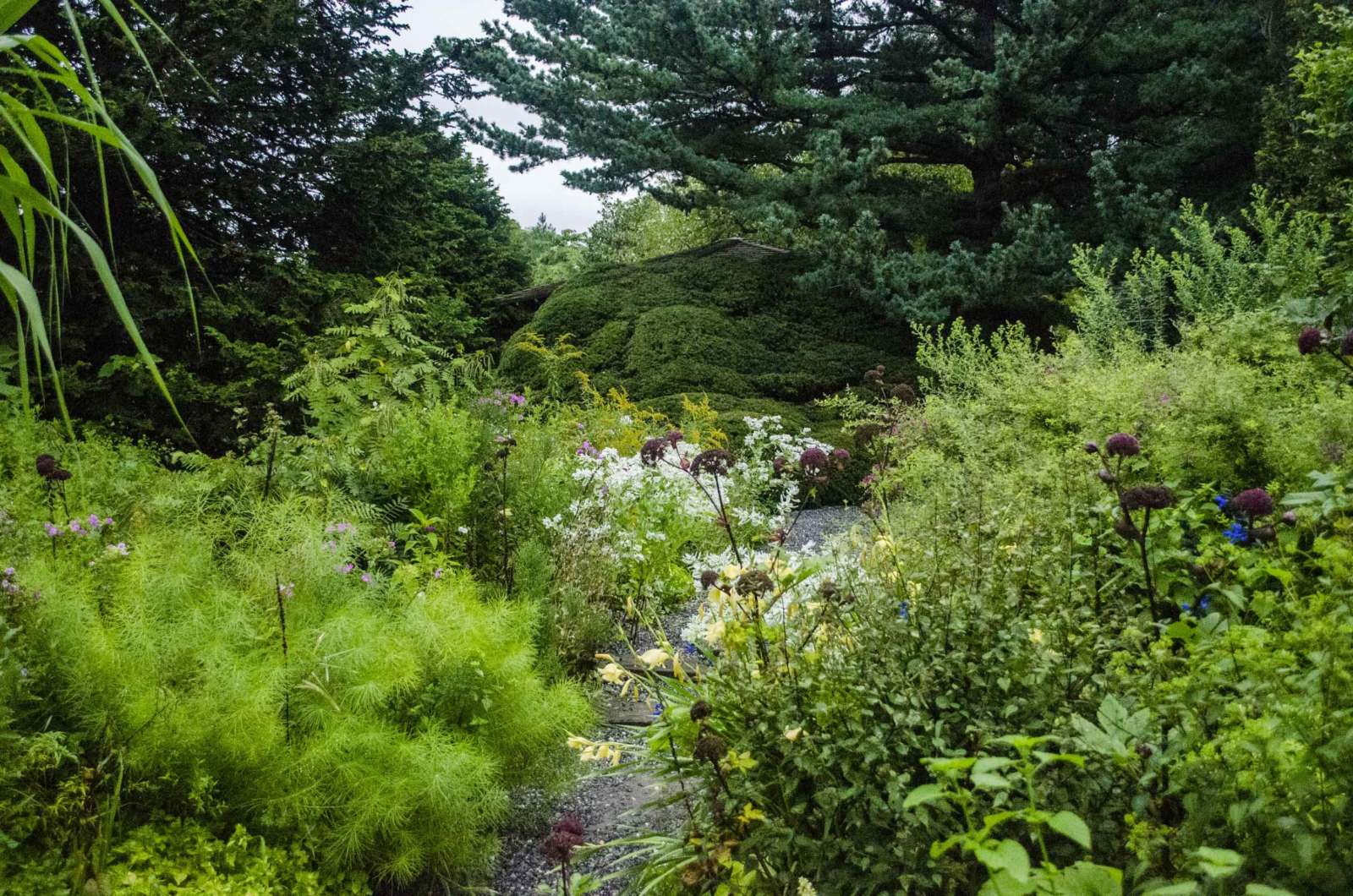 The Wild Garden - Wave Hill