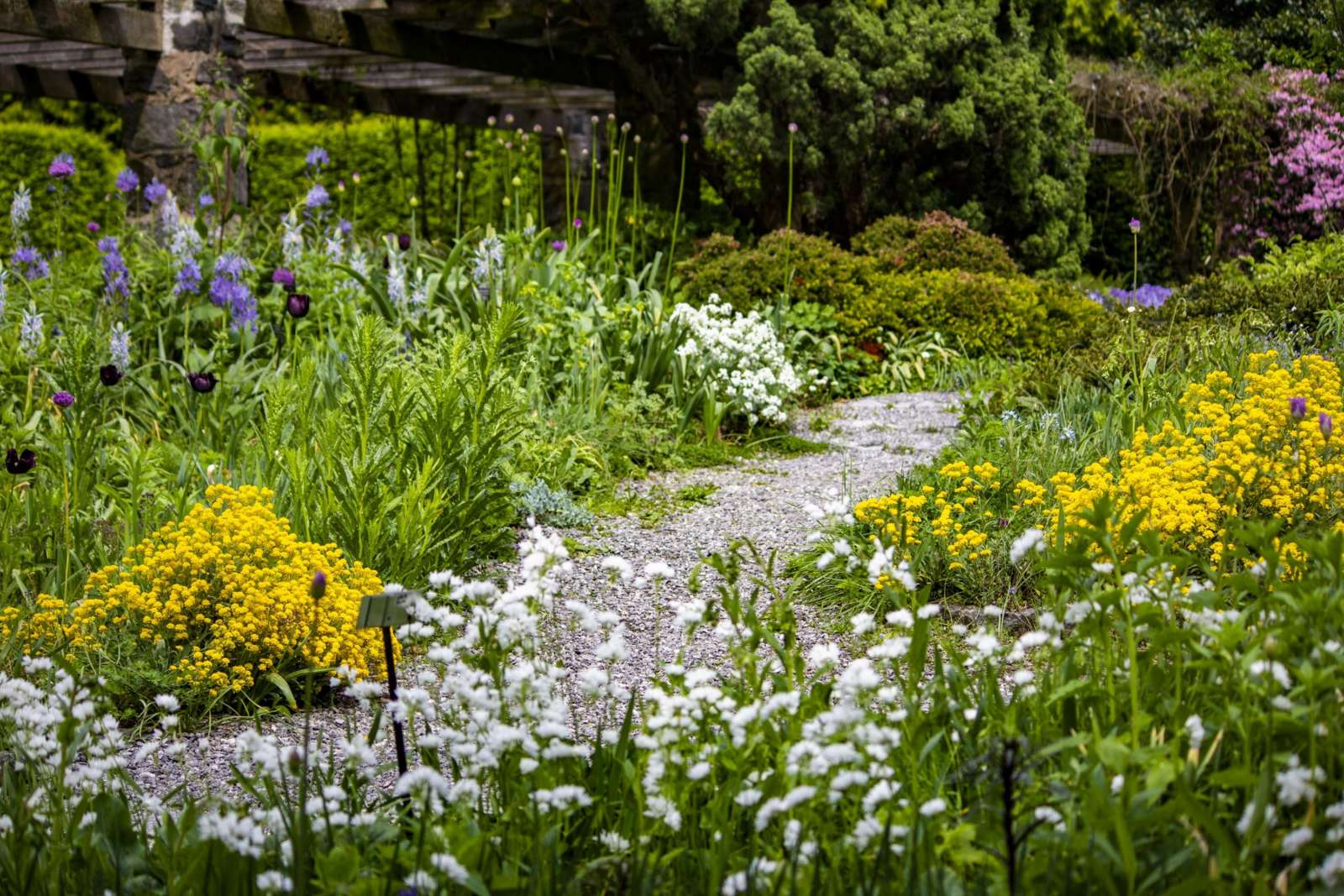 The Wild Garden - Wave Hill