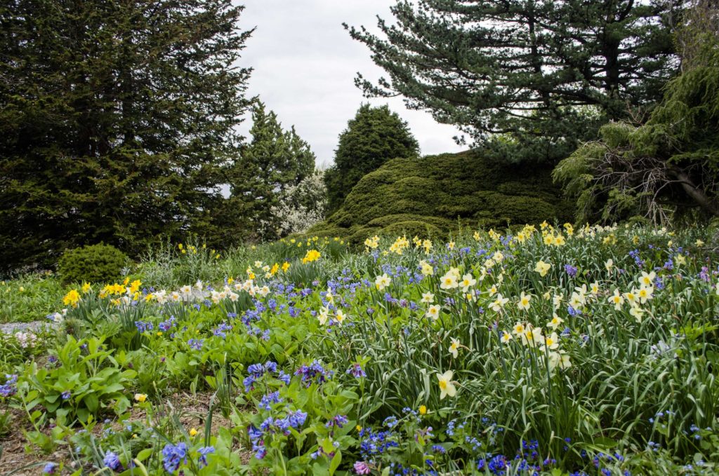 The Wild Garden - Wave Hill