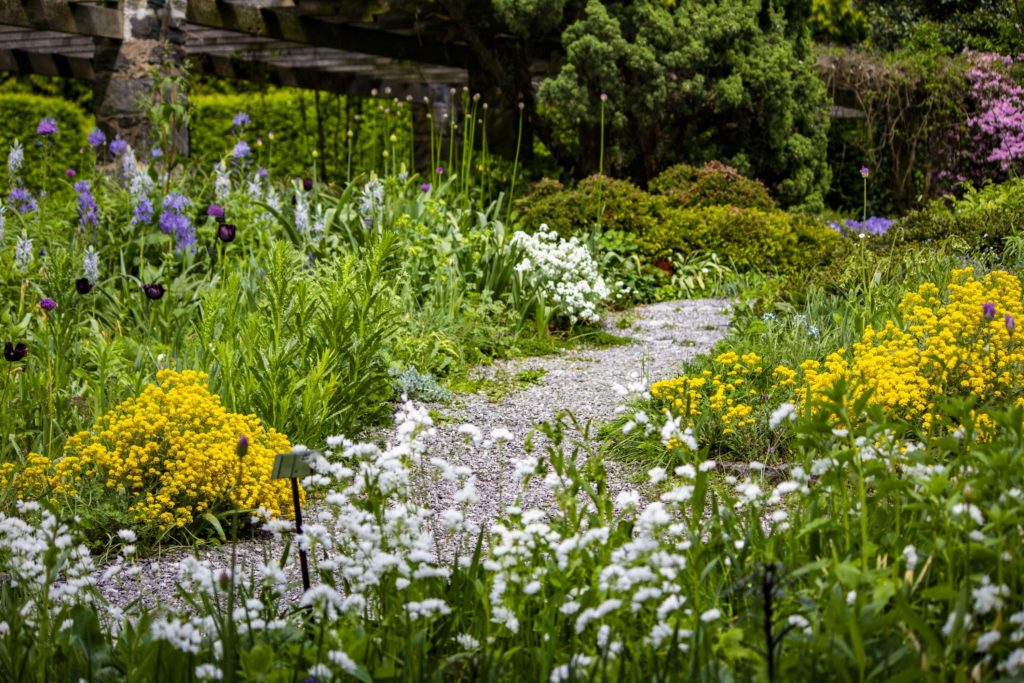 The Wild Garden - Wave Hill