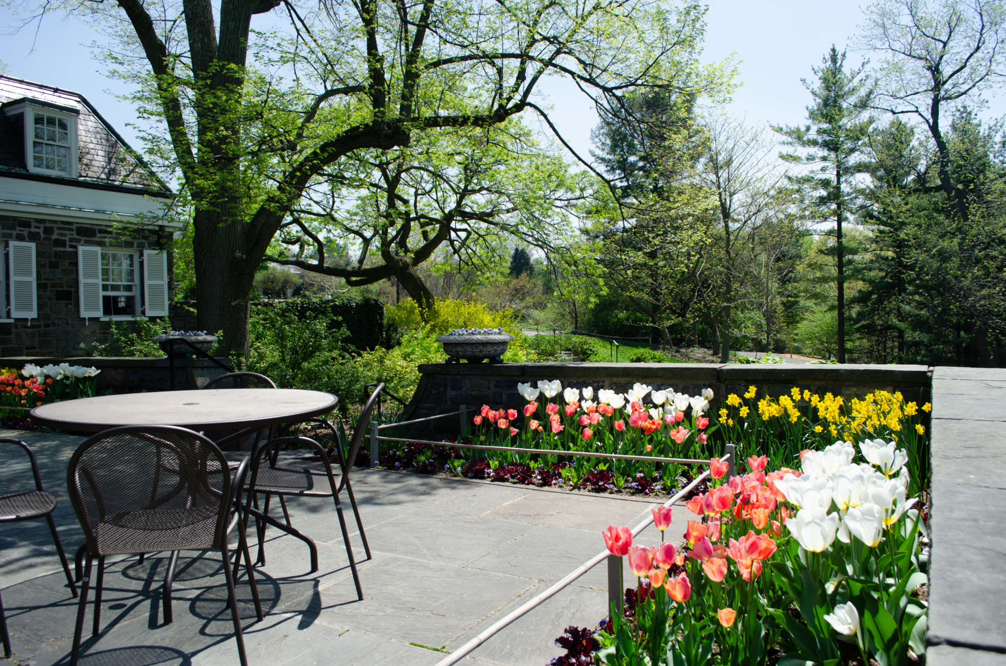 Kate French Terrace - Wave Hill