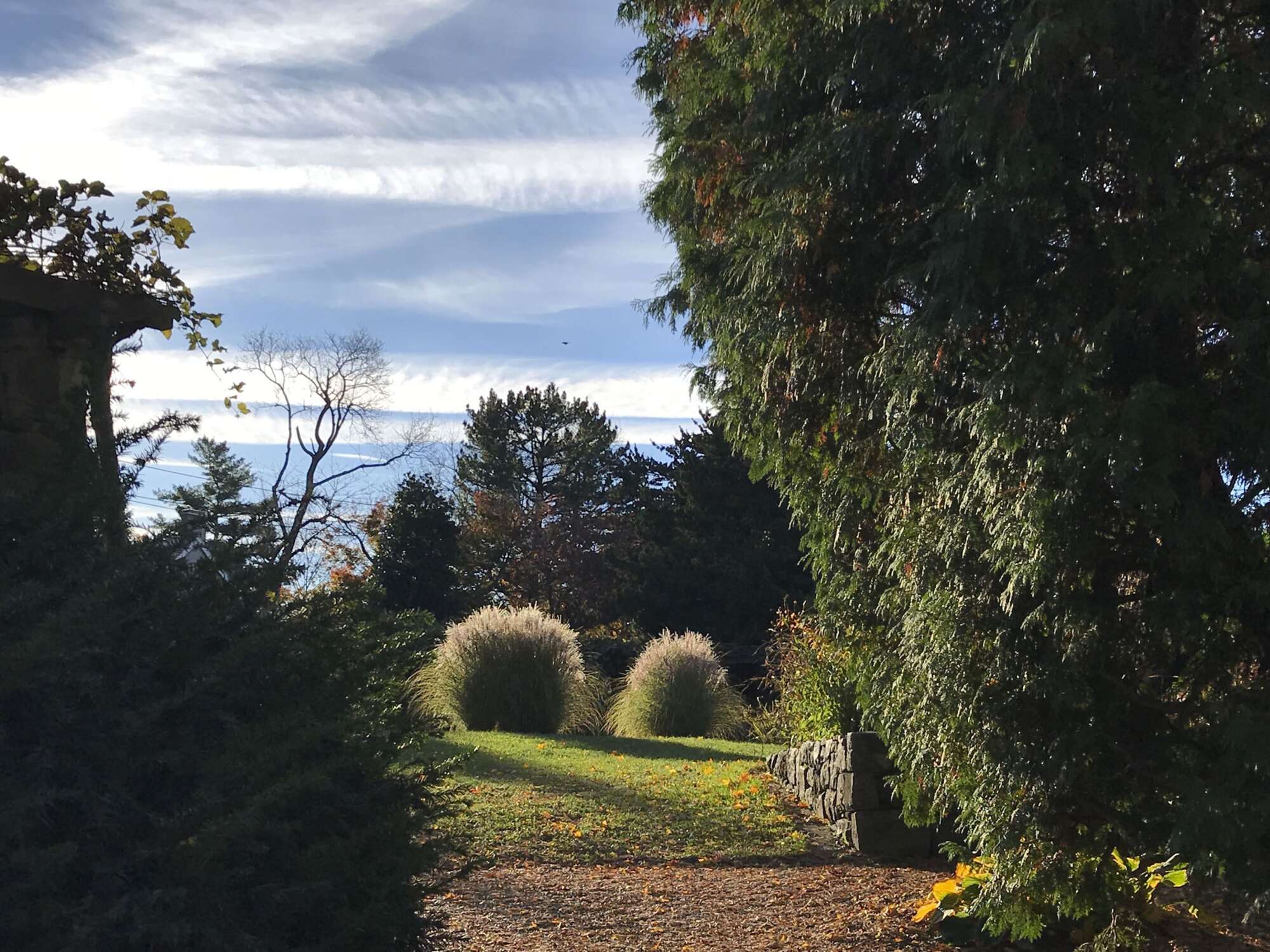 Fall Terrace Party - Wave Hill