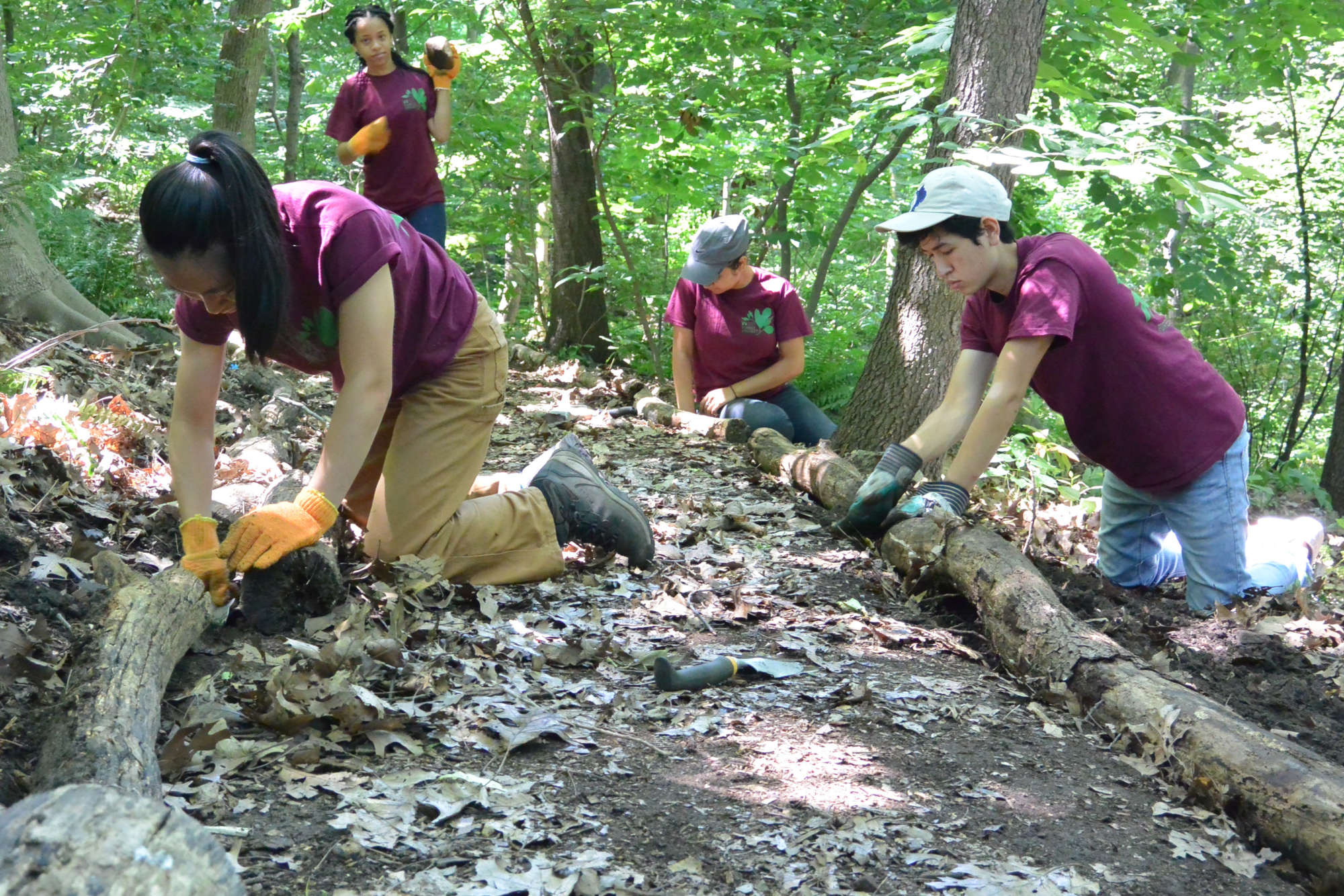 Forest Project - Wave Hill