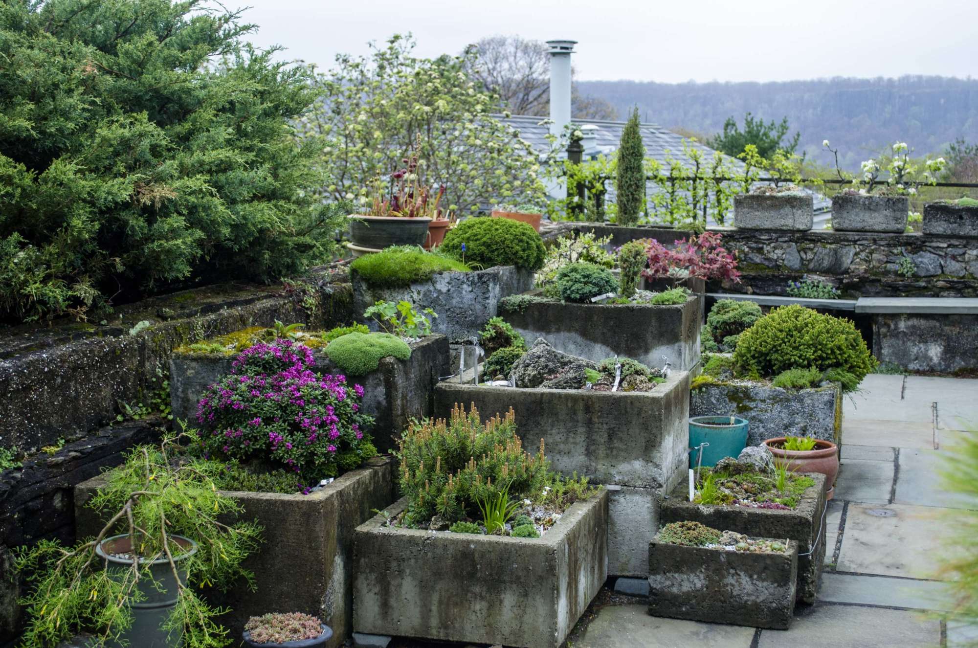 T.H. Everett Alpine House & Troughs - Wave Hill