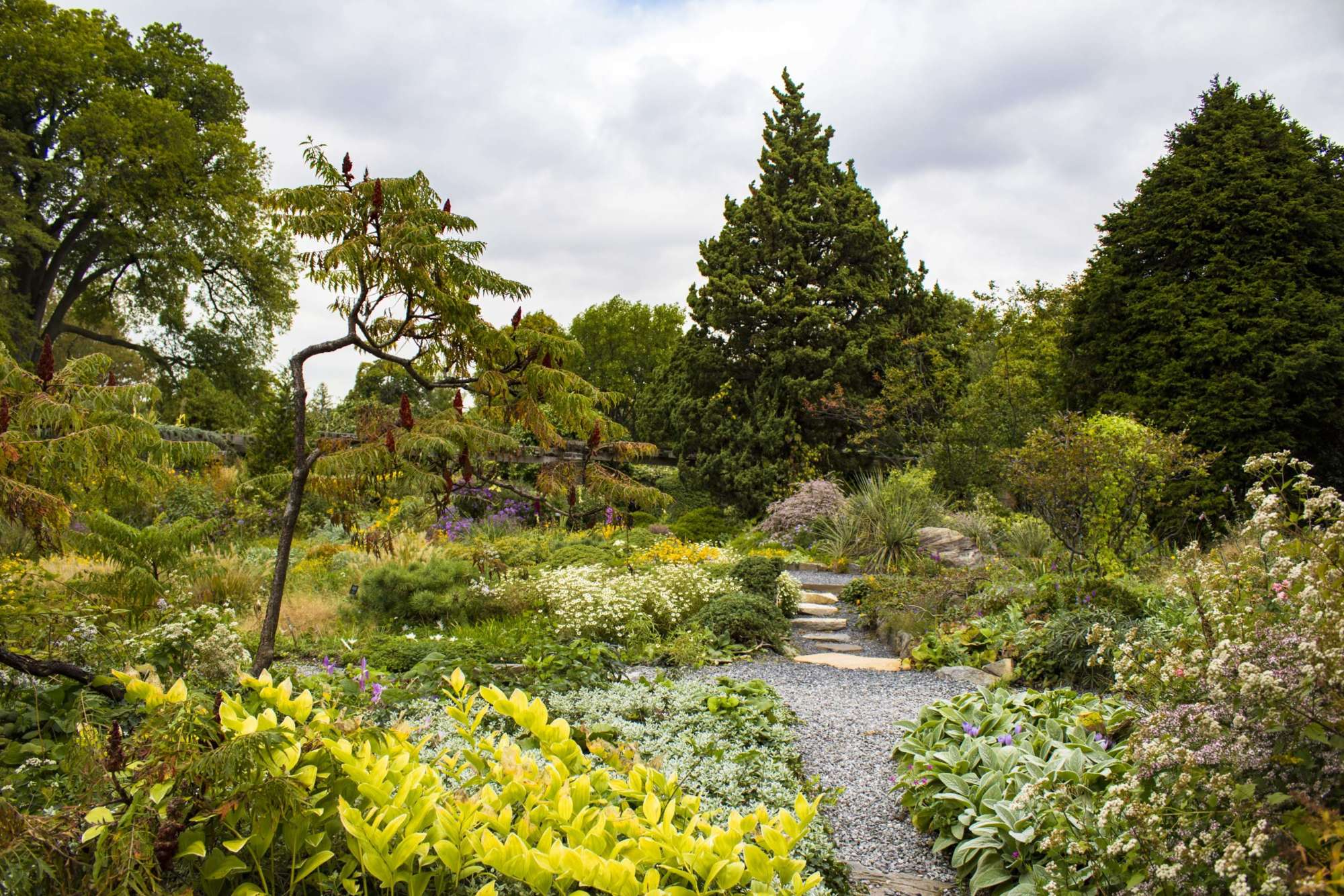 The Wild Garden - Wave Hill