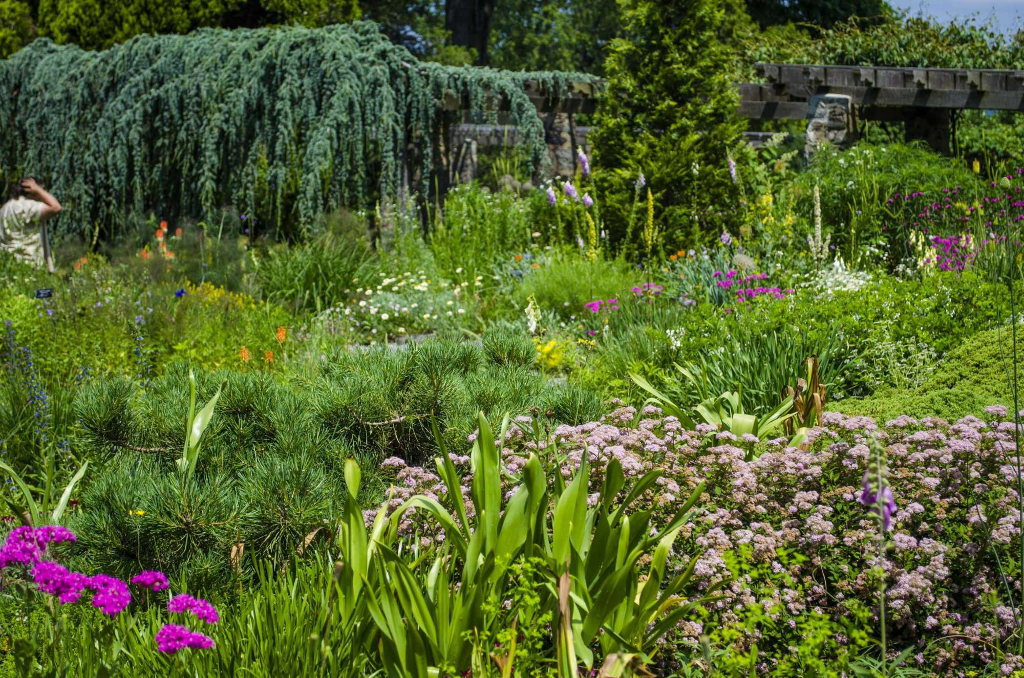 The Wild Garden - Wave Hill