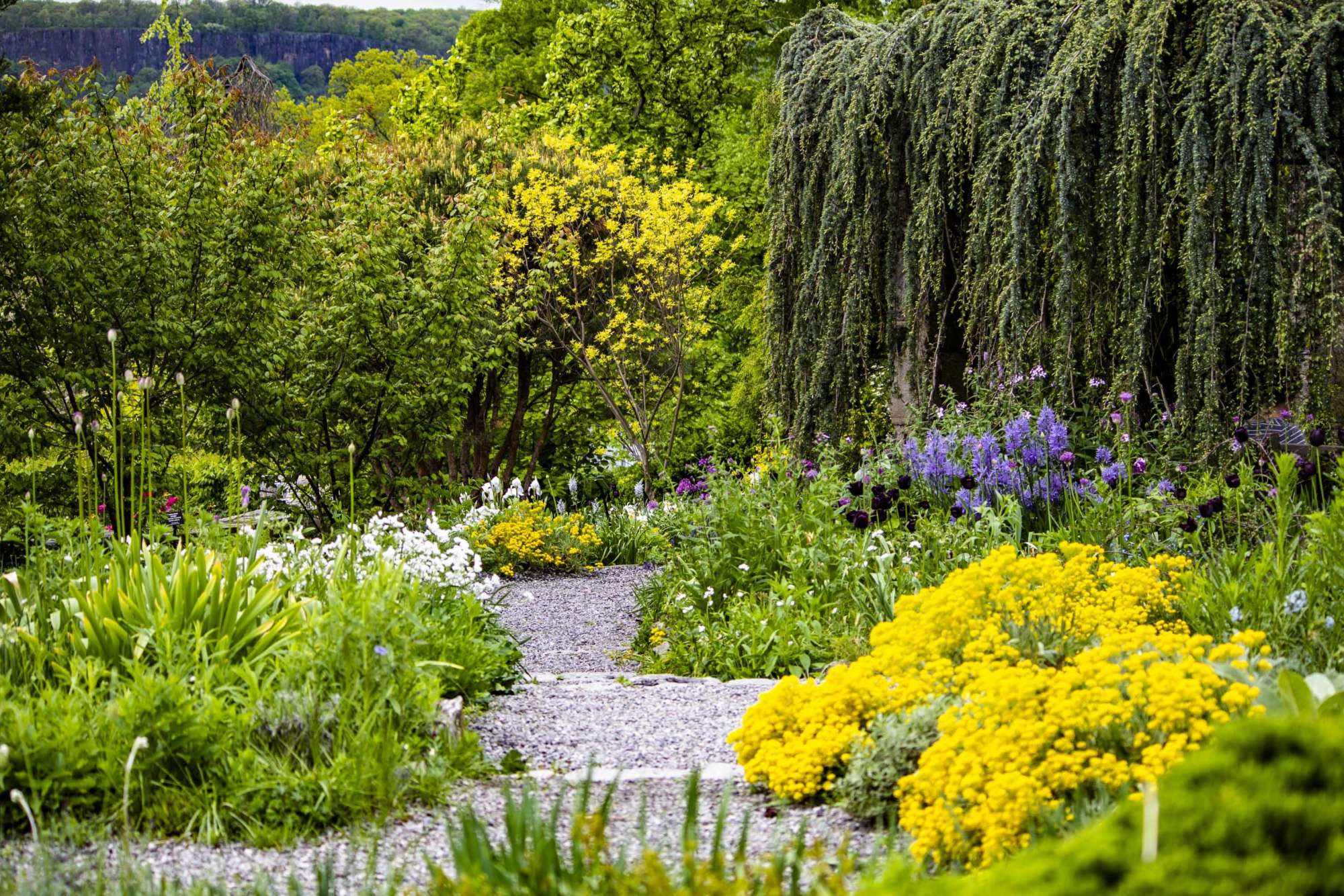 The Wild Garden - Wave Hill