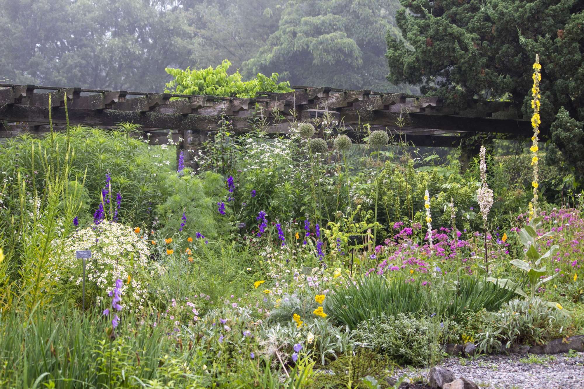 The Wild Garden - Wave Hill