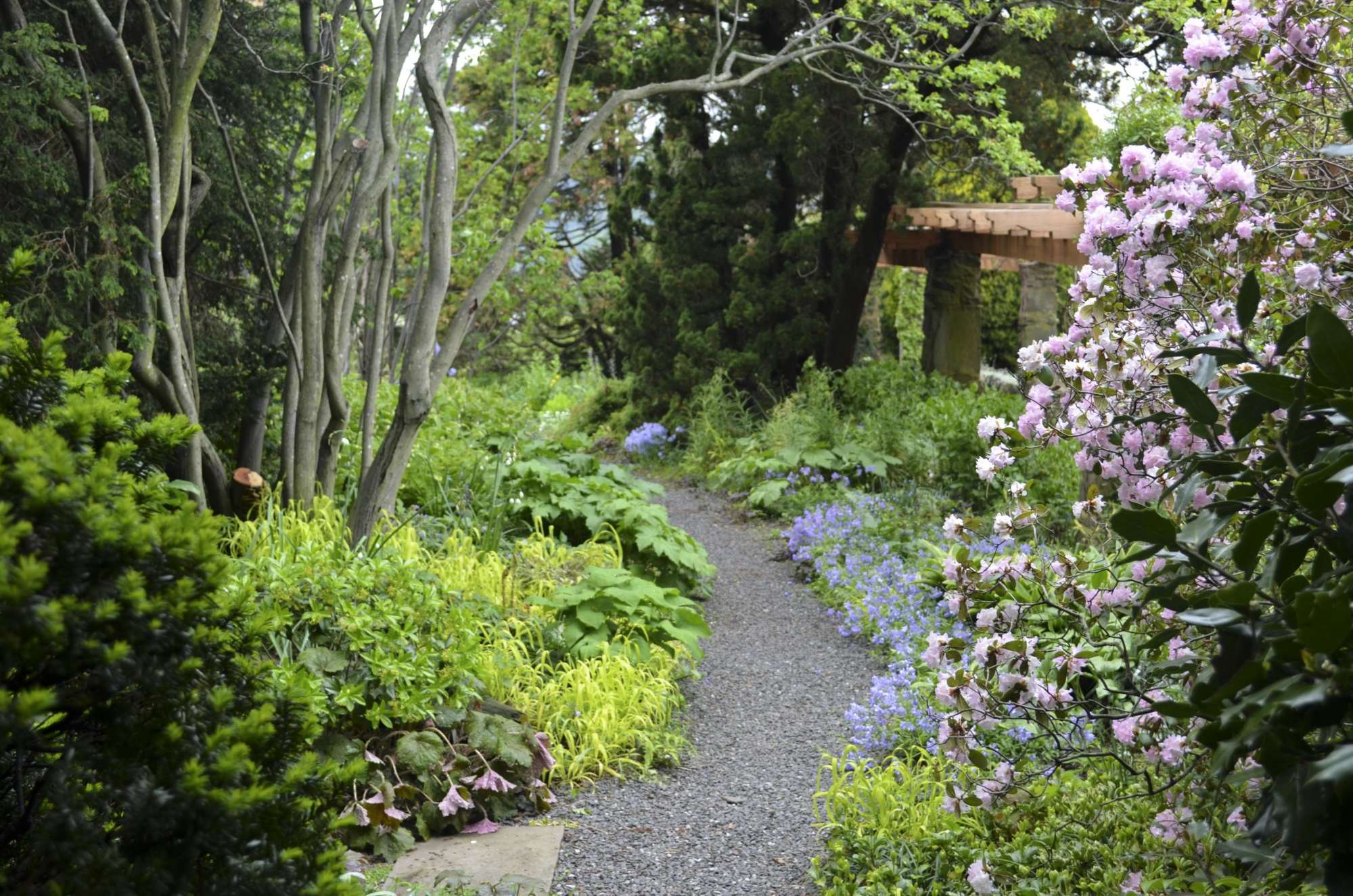 The Wild Garden - Wave Hill