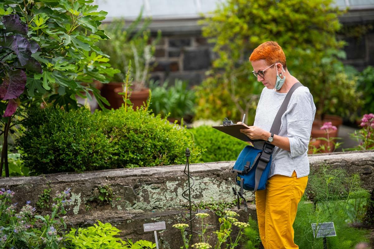 Plant Connections: The Herb Garden - Wave Hill