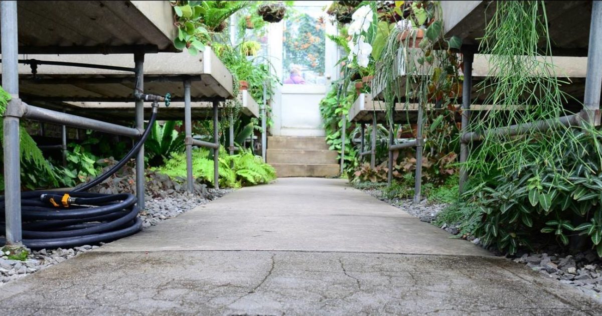 Under the Benches Grows a Forest Floor - Wave Hill
