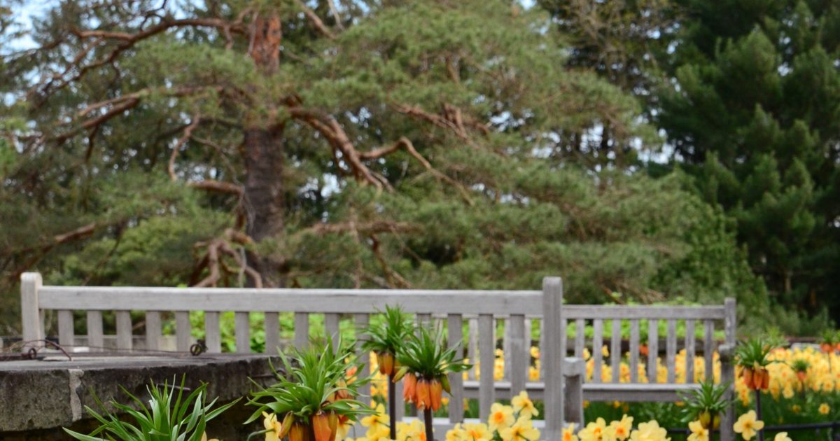 Spring Seasonal Displays - Wave Hill
