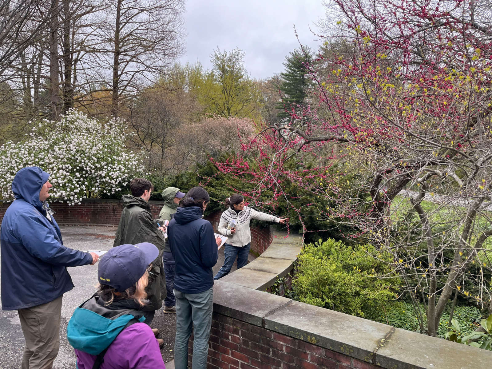 2024 Nally Interns - Wave Hill