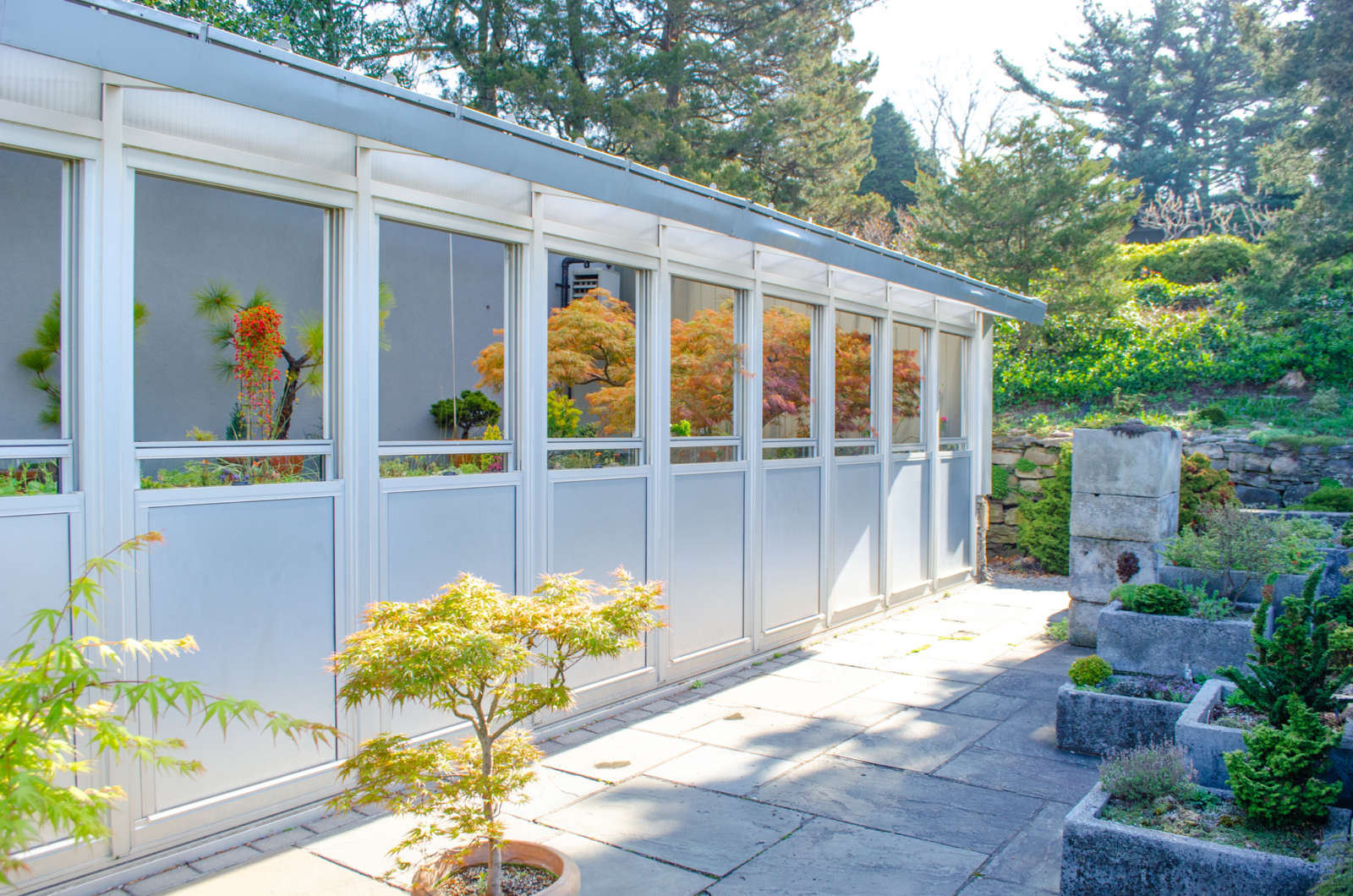 Alpine House: Springtime at High Altitudes - Wave Hill