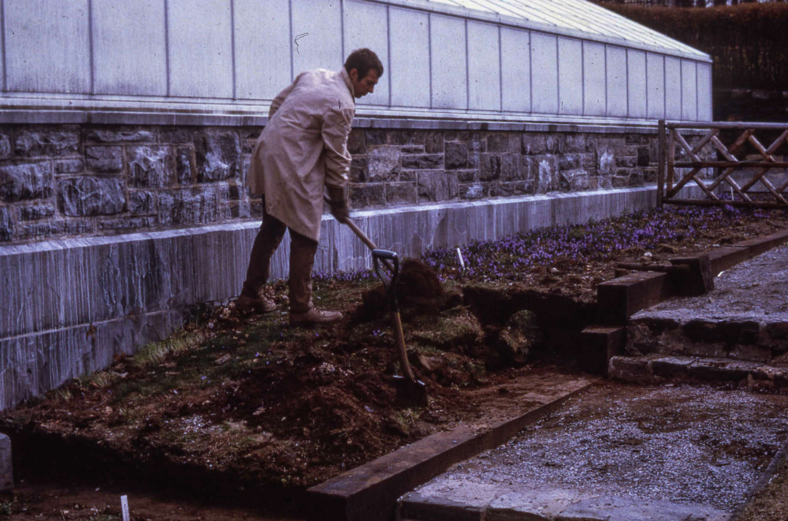 Glory-of-the-Snow - Wave Hill