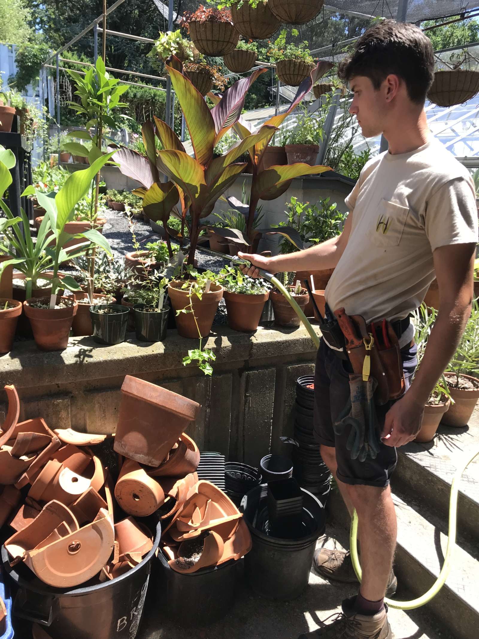 2021 Nally Interns - Wave Hill