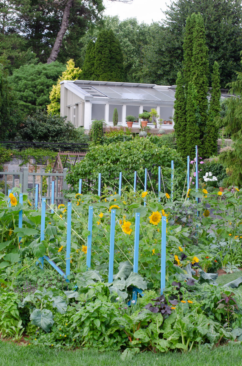 An Edible Paisley Bed with Ornamental Character - Wave Hill