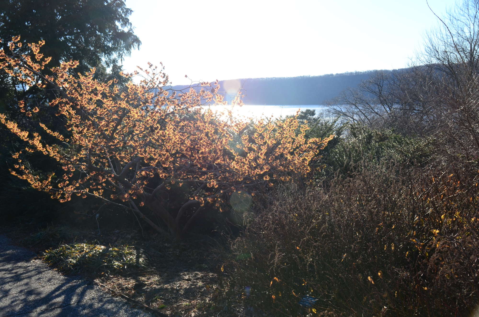 With Hazel - Wave Hill