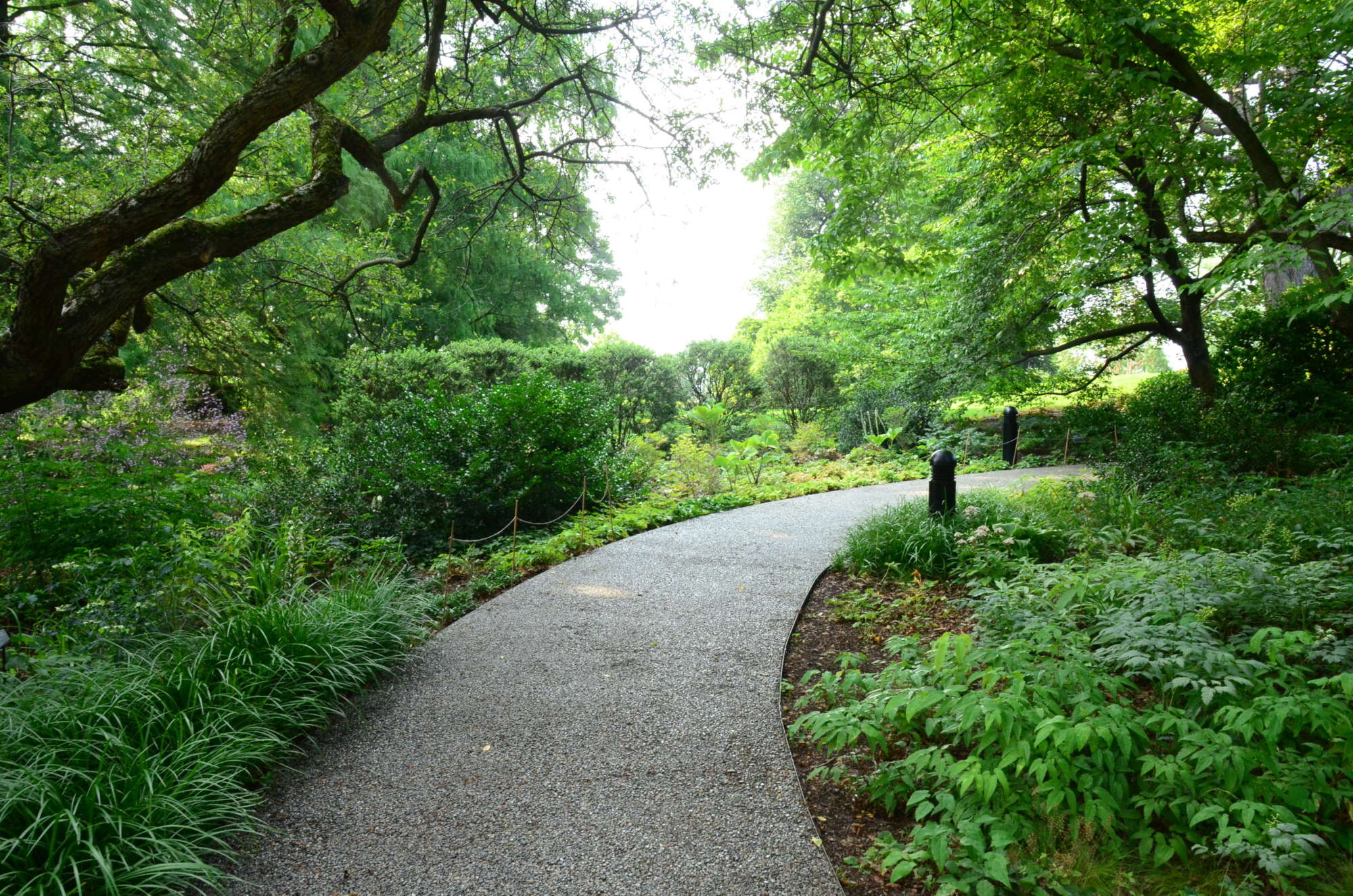 Shady Greens: Plants at the Entrance Walk and Shade Border - Wave Hill