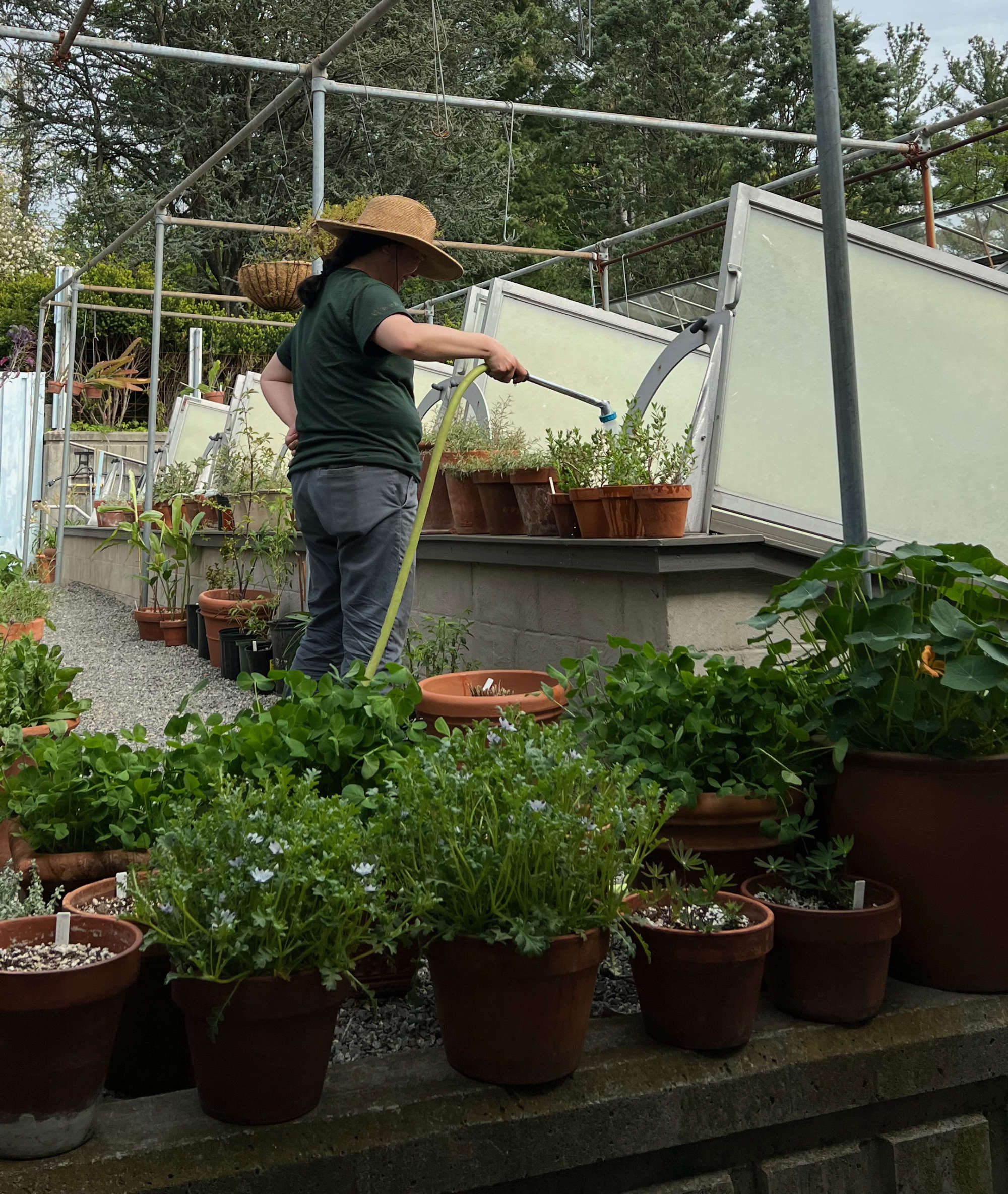 This Year's Nally Interns Settle In - Wave Hill