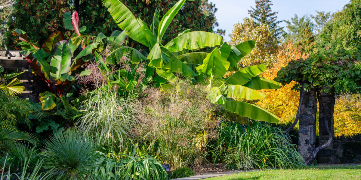 Garden Highlights Walk - Wave Hill