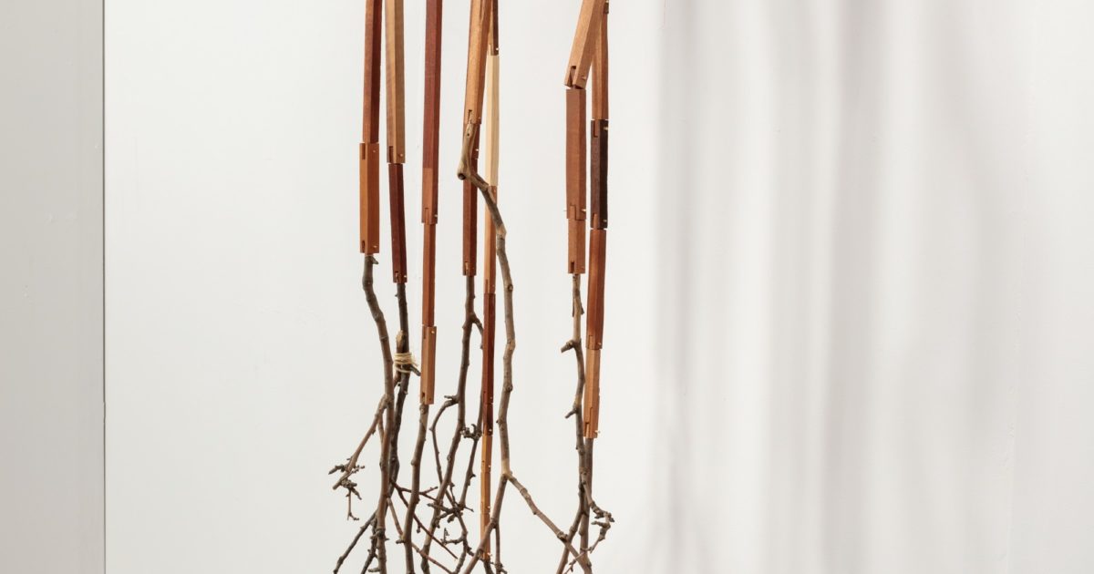 Stephanie Beck | Bough - Wave Hill