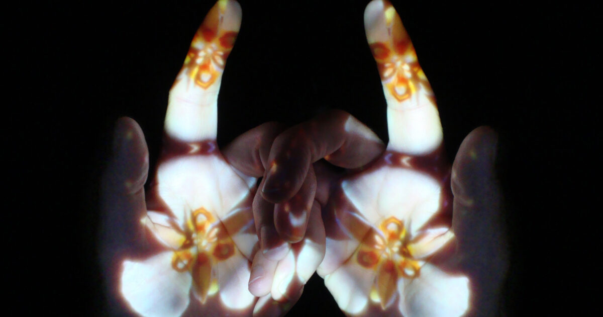 Meet the Artists: Monica Duncan, Jennifer Tobias and SuRan Song - Wave Hill