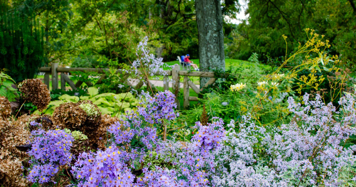 Public Garden Highlights Walk - Wave Hill