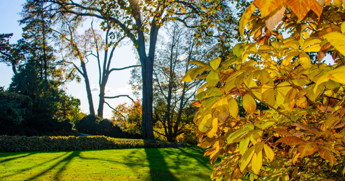 Public Garden Highlights Walk - Wave Hill