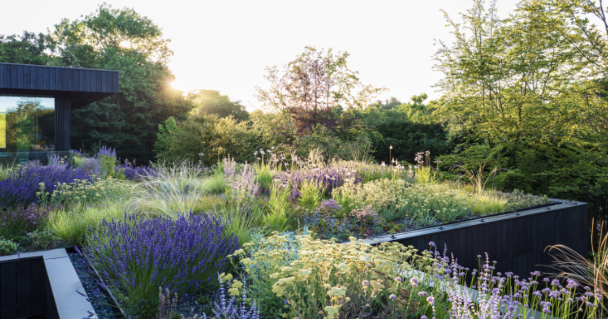 Visionary: Gardens and Landscapes for Our Future - Wave Hill